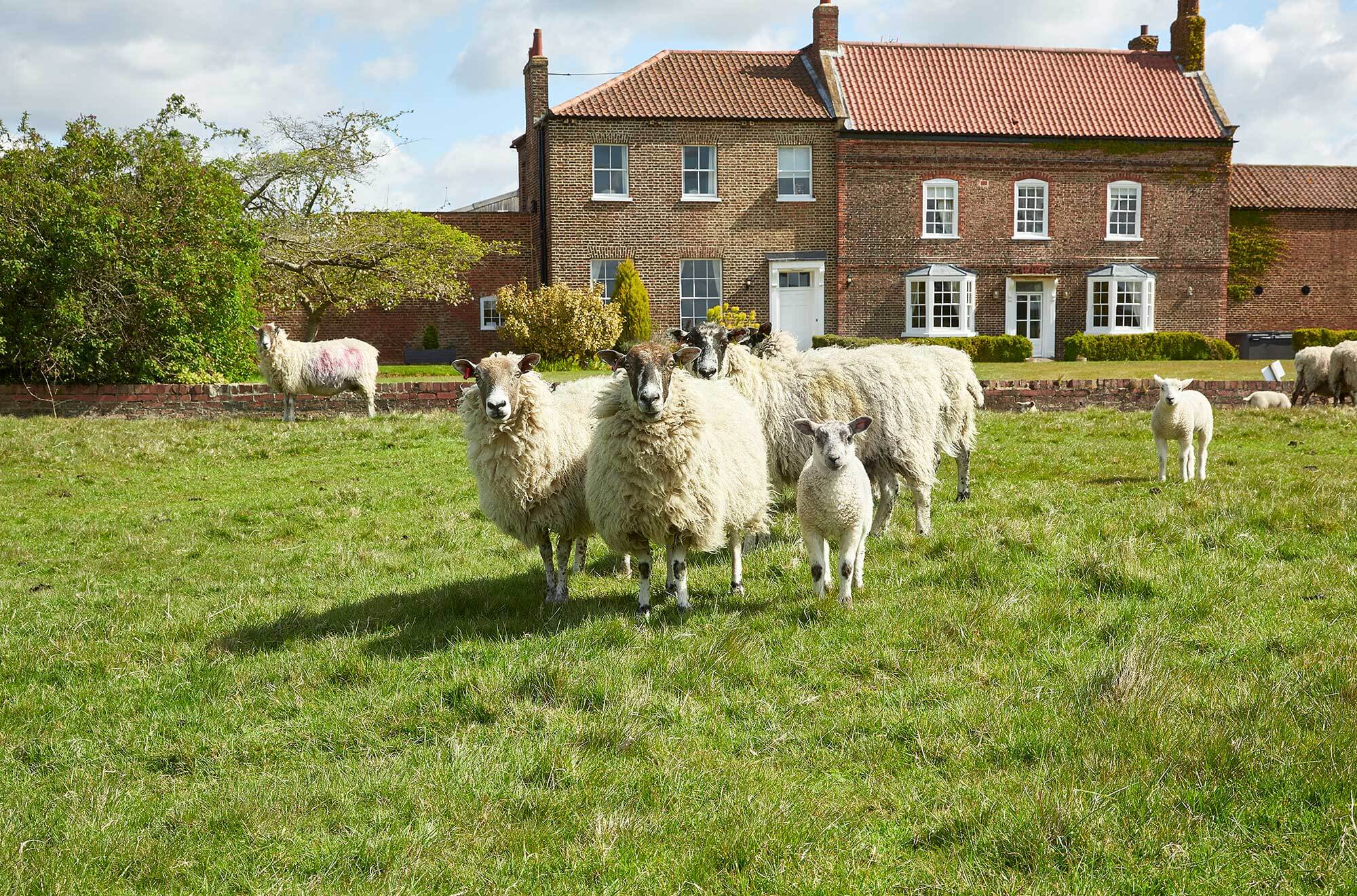 Harrison Spinks Mattresses | Harrison Spinks Bespoke Luxury Mattresses