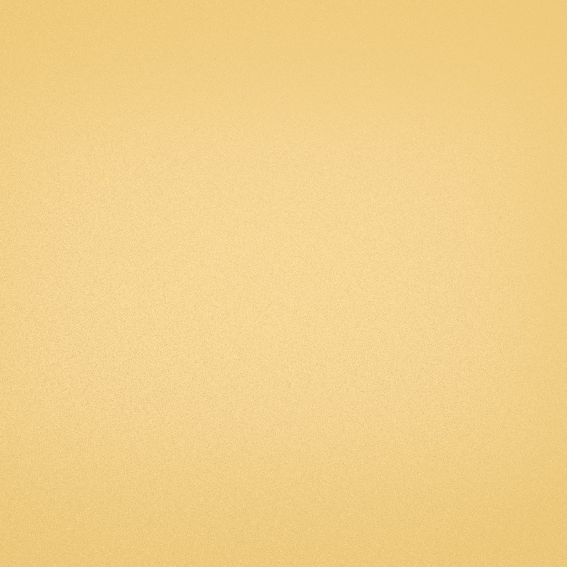 Oliver Bed | Dorm Style Bed | Feather & Black