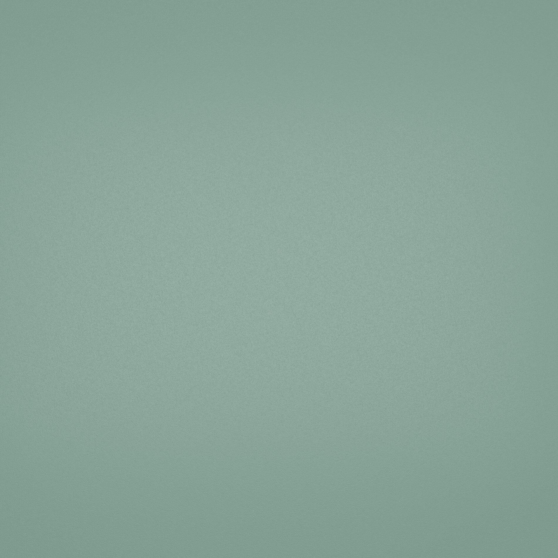 Oliver Bed | Dorm Style Bed | Feather & Black